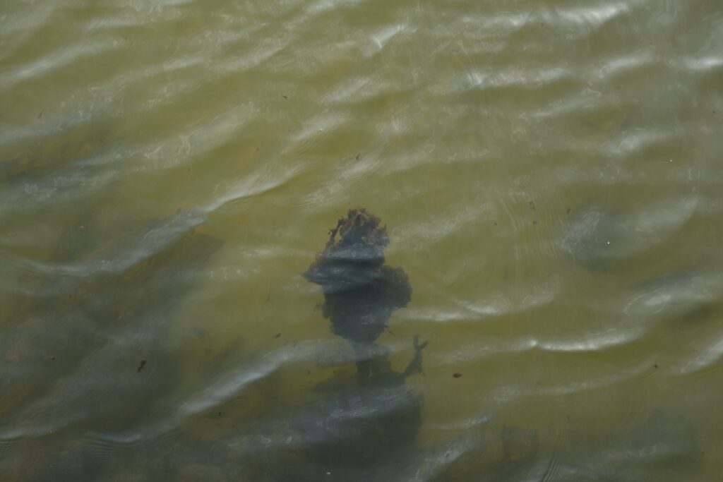 Is dirty water bad for your health? - STG Industrials Pte Ltd